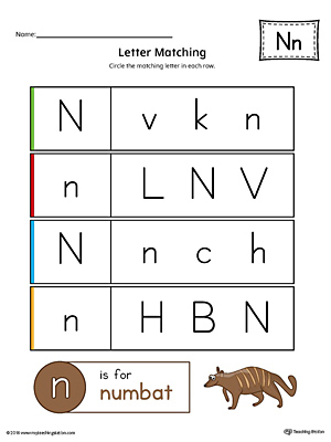 Letter N Uppercase and Lowercase Matching Worksheet (Color ...